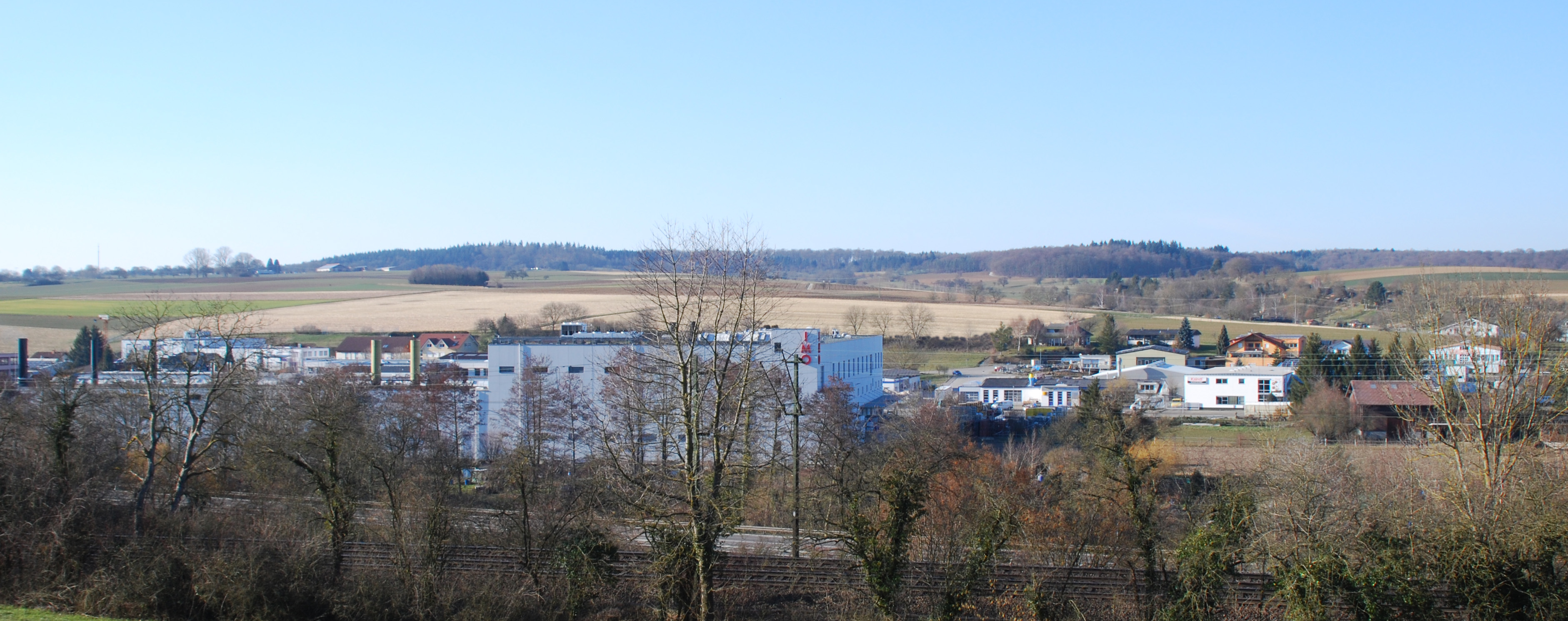 Die Laier | Bürgerinitiative Königsbach-Stein